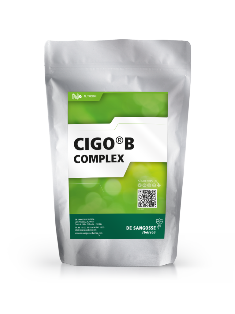 CIGO-B COMPLEX - DE SANGOSSE IBÉRICA